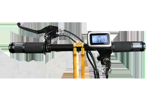 DC Motor Self Balancing Electric Vehicle , Personal Two Wheel Transportation