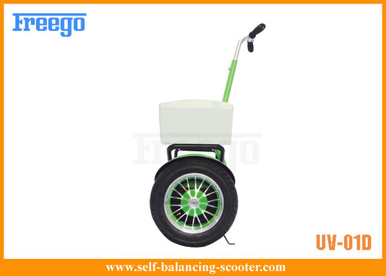 Street Advertisement Self Balancing Scooter with Frame , Cargo