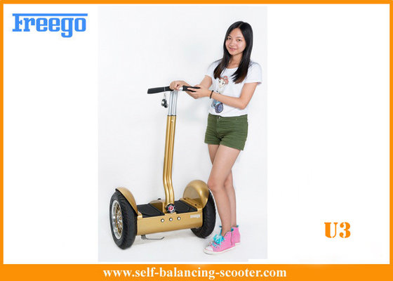Lead Acid Battery 2 Wheel Self Balancing Electric Scooter For Outdoor Sports