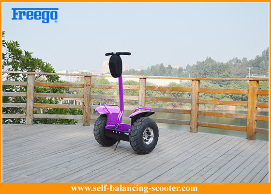 Pink Two Wheels Big Self Balancing Electric Unicycle Scooter 19 Inch