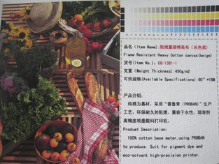 Eco Solvent Canvas Inkjet Printing Media For Home / Hotel Decorations