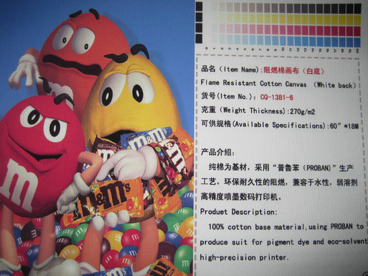 Eco Solvent Canvas Inkjet Printing Media For Home / Hotel Decorations