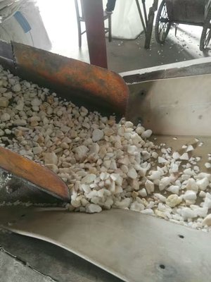 stone Color Sorter for quartz or silicon color sorter machine RS512CG  with high pixel ccd camera best quality
