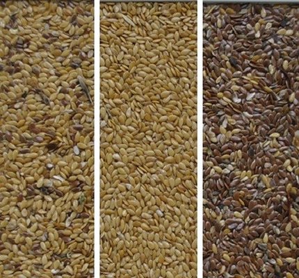 Seeds sesame color Sorter machine optical ccd grain color sorter for Cumin seeds