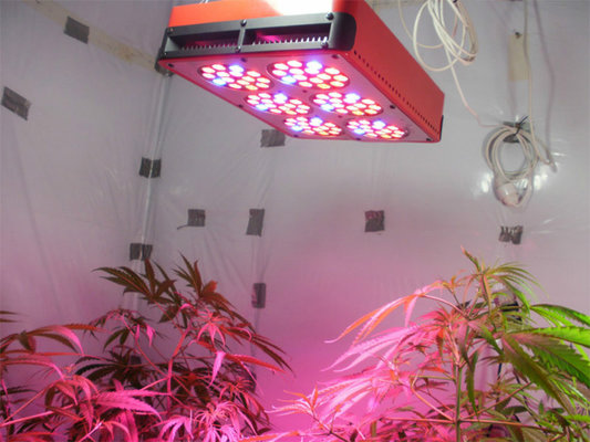 hydroponics growing light system full spectrum 360W apollo 8 led grow lights/hydroponic
