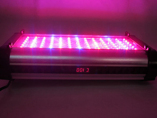 Best led grow lights full spectrum Phantom 150w led grow lights/cidly led grow lights