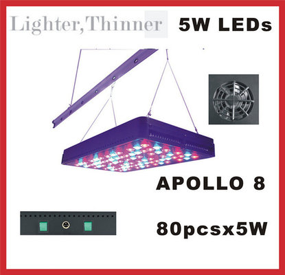 Lighting Products,LED Grow Lights,cidly led light 5w for grow shop