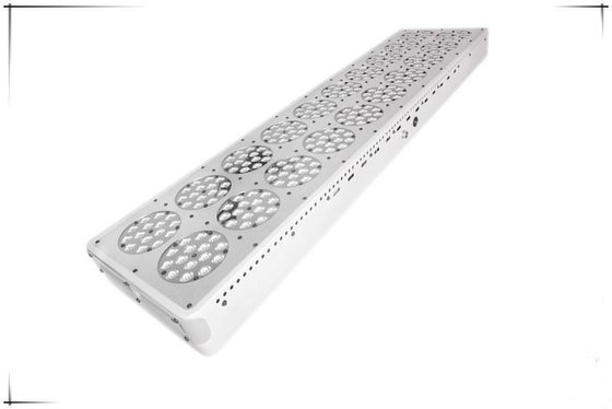 hot sale 750w Cidly LED 20 lighting led grow light full spectrum led grow light