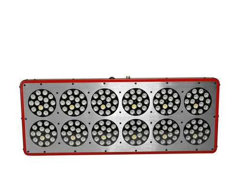 greenhouse application full spectrum cidly led grow light