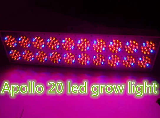 Newest 300*3W apollo 20 led grow light for tary lighting