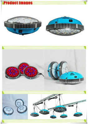 Cidly Super 144w ufo led grow light bloom led light with 3w epistar chip CE ROHS