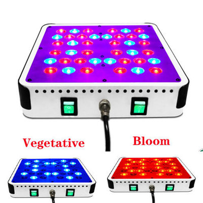 Cidly 5W led grow lights hydroponics red blue LEDs contorl separately