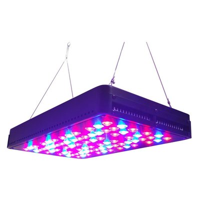 Full Spectrum LED Grow Light could be Customized Growing Lights 140W 3 years Warranty 5W L