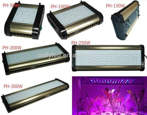 Cidly PT Series 250w chinese led aquarium light 86pcs*3w White(12000k)/Blue(460nm)