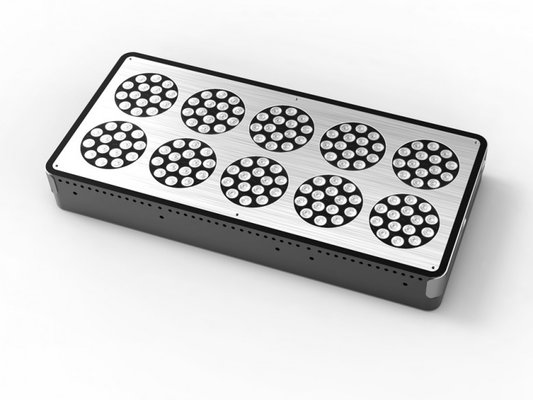 CIDLY LED 10 Epistar Greenhouse LED Grow Light 450W for hydroponic lettuce