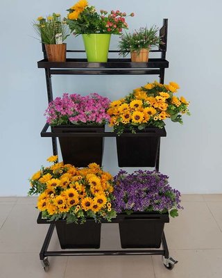 Shop Metal Flower Display Stands 445X795X1160mm Electric Zinc Finishing