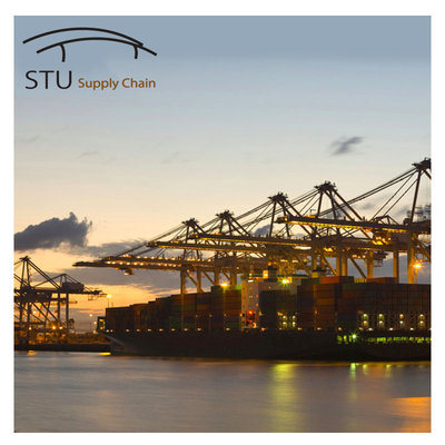 Cheapest Rates Logistics Agent Amazon FBA DTD Express Sea Freight Forwarder From China To Europe South America Argentina supplier
