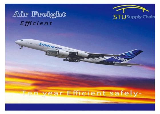 China to Uruguay Efficient Customs Clearance DOOR TO DOOR To Sensitive Good And Ordinary Good supplier