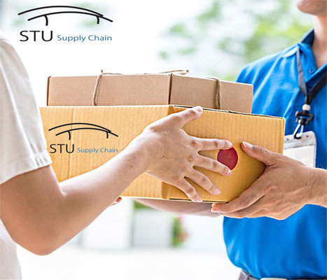LCL FCL Freight Forwarder To USA Shipping By Sea Shipping From China DDP Service supplier
