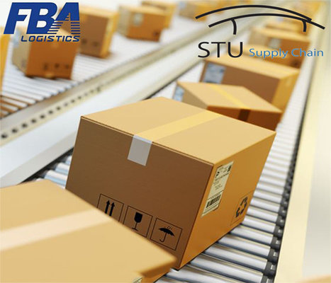 Sea freight forwarder agent from china to USA have own warehouse by DDU DDP supplier