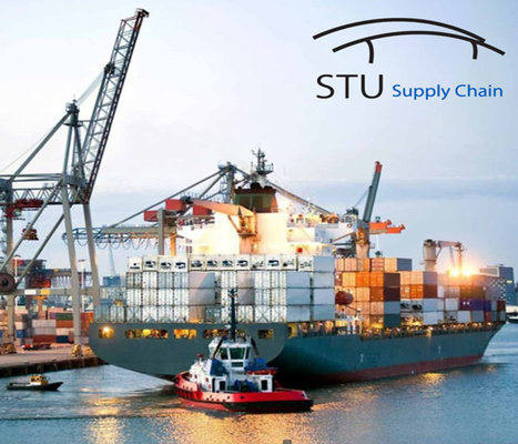Professional Amazon FBA Sea freight forwarder Cheap Sea Shipping Rates To Mexico supplier