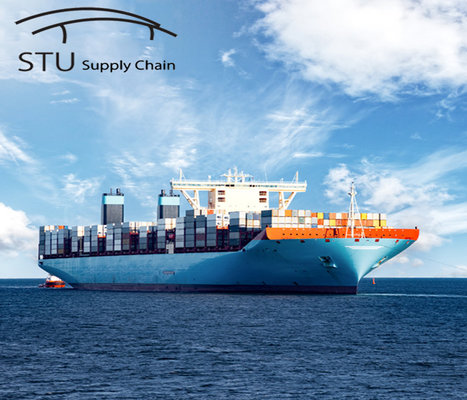 Trustful Freight Forwarder To USA FBA Custom Clearance And Door To Door Service supplier