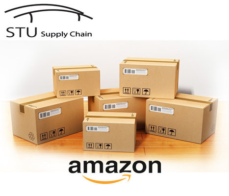 Amazon FBA Freight Forwarding Sea Freight Shipping Agent DDP DDU Service To USA supplier