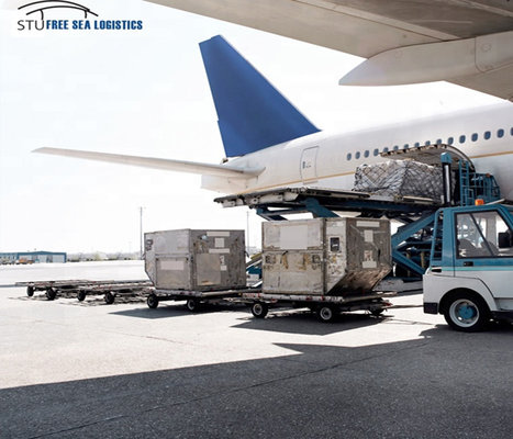 Ocean Shipping Freight Forwarding LCL FCL Amazon Cargo Door to Door Delivery To Canada Amazon FBA supplier