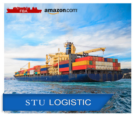 Excellent Sea Shipping Company Freight Forwarder From Shenzhen China To Hungary South Africa supplier