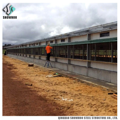 Cheap Prefabricated Pre Engineering Steel Structure Chicken Farm Poultry House