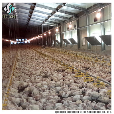 Prefabricated Steel Structure Chicken Farm Shed Design Poultry House