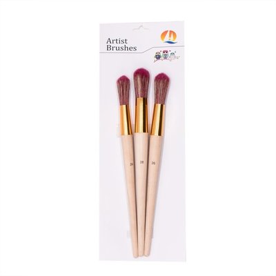 Nylon Silk Hair Bicolor Synthetic Paint Brush Set