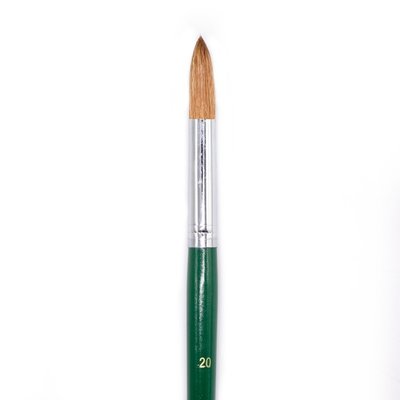 Goat Hair 10Pcs #20 Artist Paint Brushes Set
