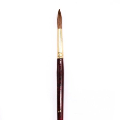 24# Weasel Hair Artist Paint Brushes Set