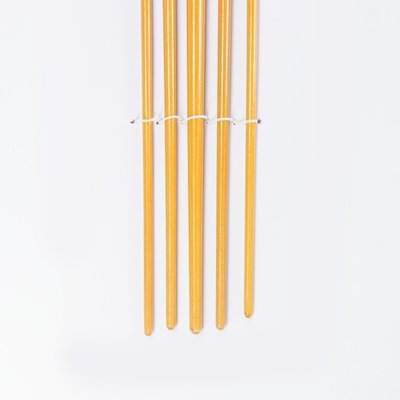 Aluminum Ferrule Creamy White Nylon Hair #6 Art Paint Brush Set