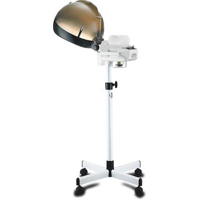 Micro Mist Professional Spa Machine Ozone Hair Steamer supplier