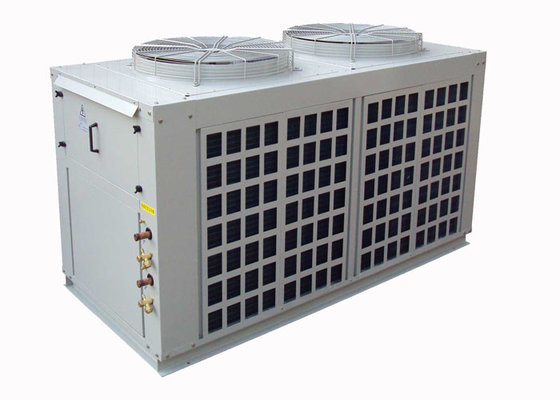 R22 Multi Ducted Split Air Conditioner With Hermetic Scroll Compressor