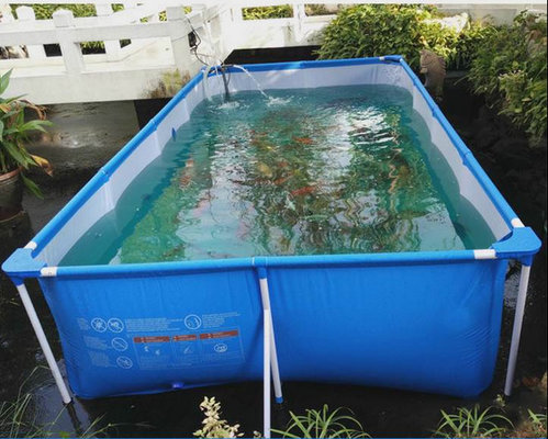 Wholesale Pvc Fish Tank