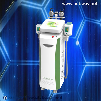 Low Price Cooling RF Weight Loss Body Sculpture Fat Cell Reduction Cryo Freeze Fat Slimming Salon Beauty Equipment