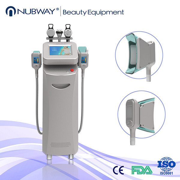 10.4 inch touch color screen 5 handles cryolipolysis liposuction machine on sale