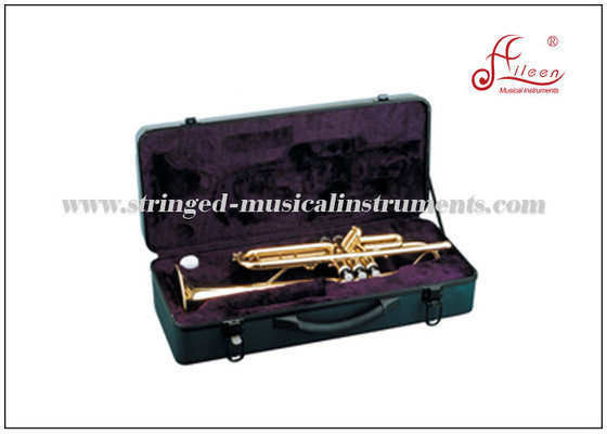 Golden Lacquered Yellow Brass Musical Instruments With Nickel Silver Valves