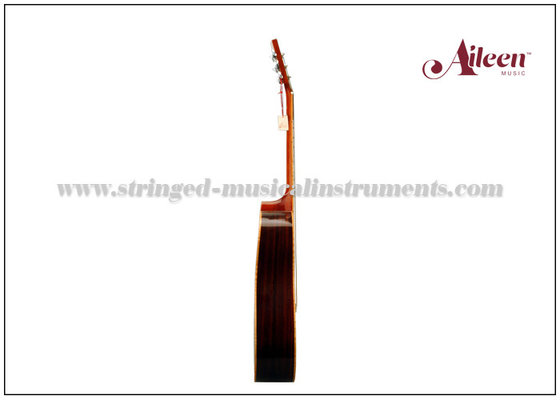 Dreadnought Spruce Plywood Fingerboard Rosewood 41&quot; Fine Fretted String Instruments