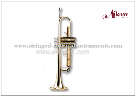 Golden Lacquered Yellow Brass Bb Key Student Model Trumpet TP8001G BV Approval