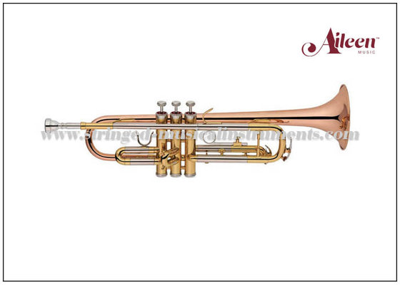 Bb Upgrade Nickel Silver Brass Musical Instruments Student Trumpet With Premium Case
