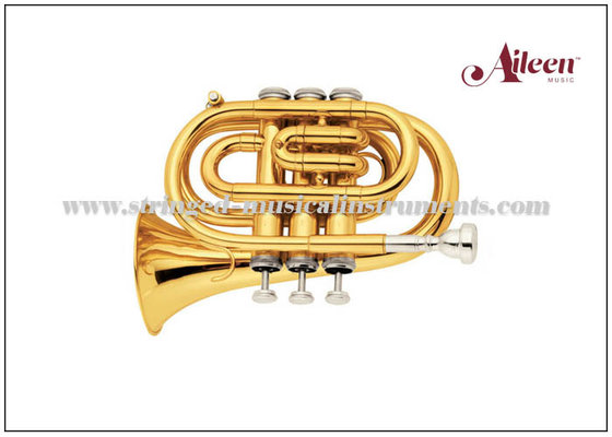 Mini Brass Musical Instruments Bb Key Pocket Trumpet / Student Model Trumpet HTP8504G