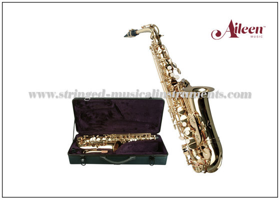 High F# Brass lacquered Eb Key Student model Alto Saxophone （SP1001G）