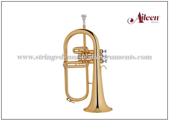 Y style Professional Flugel Brass lacquer With Premium Case (FG8612G)