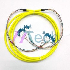 China Yellow Color 10M LC/LC SM 12Core Fiber Optic Patch Cable supplier