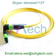 China 9/125um Singlemode 12Core MPO  Fiber Patch Cord supplier