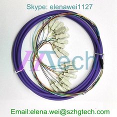 China OM4 SC-SC 12Core Fiber Optic Patch Cable supplier